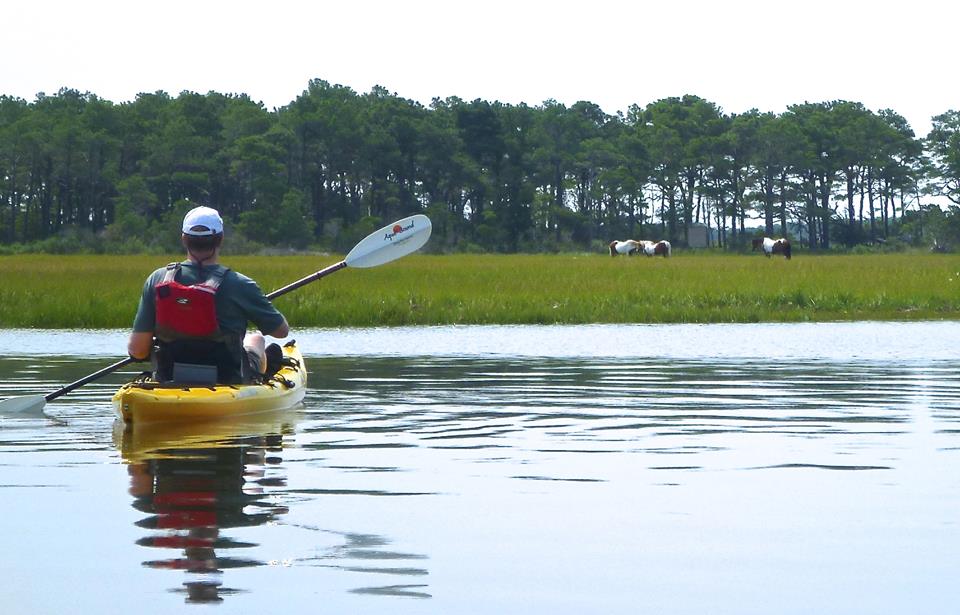 Assateague National Seashore – Kayaking Delmarva