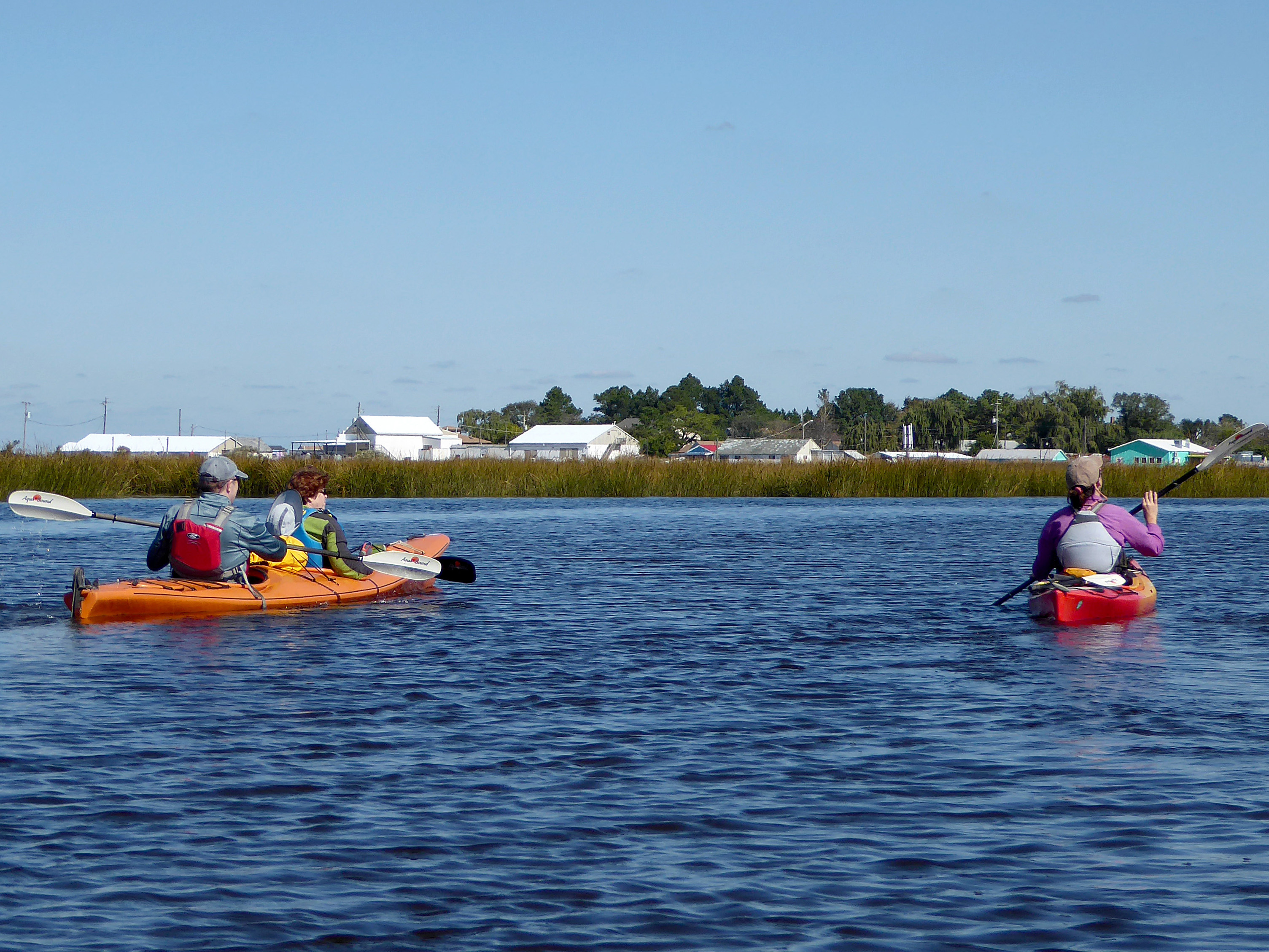 Messongo Creek and Saxis, VA – Kayaking Delmarva