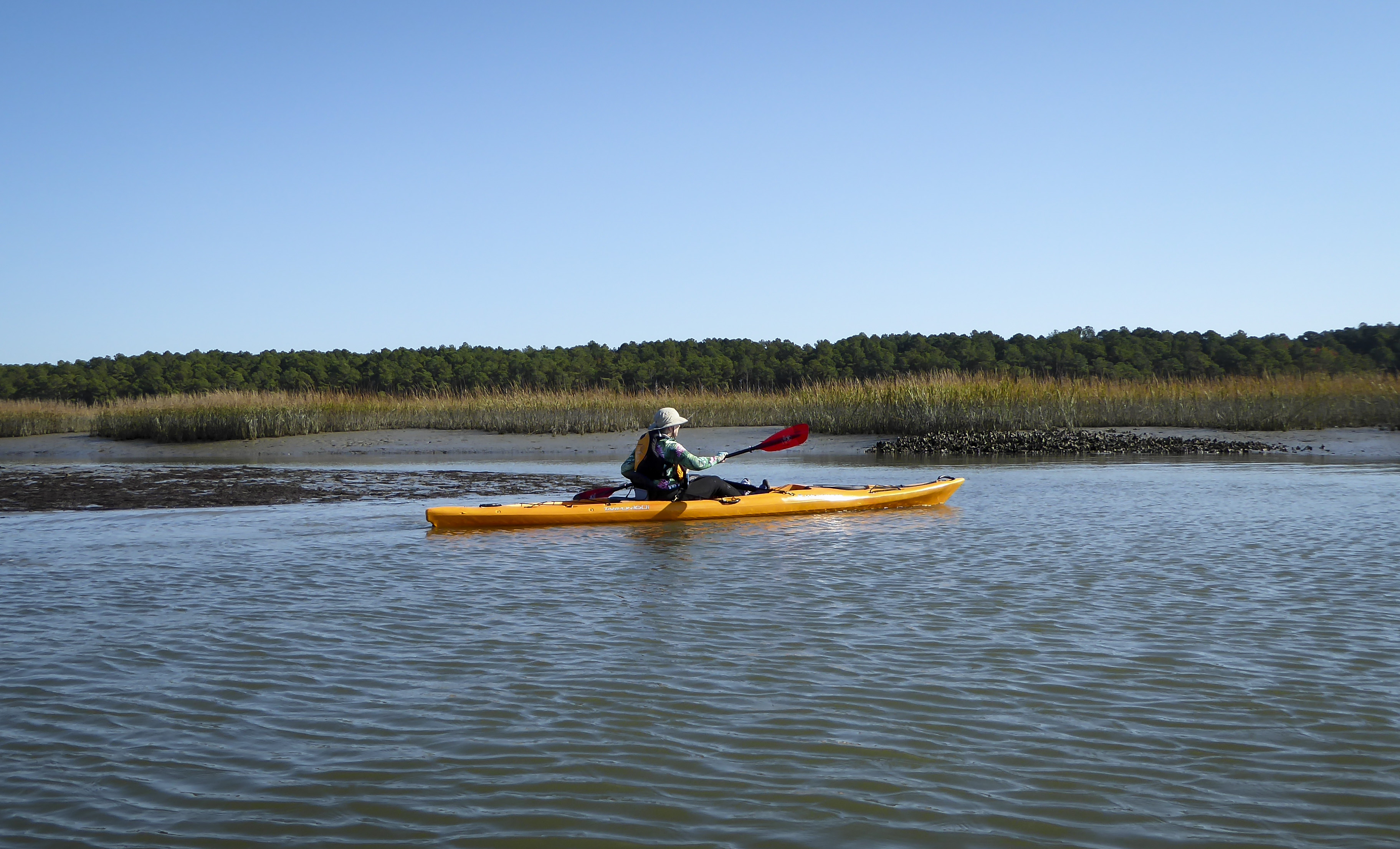 Willis Wharf and the Machipongo River – Kayaking Delmarva