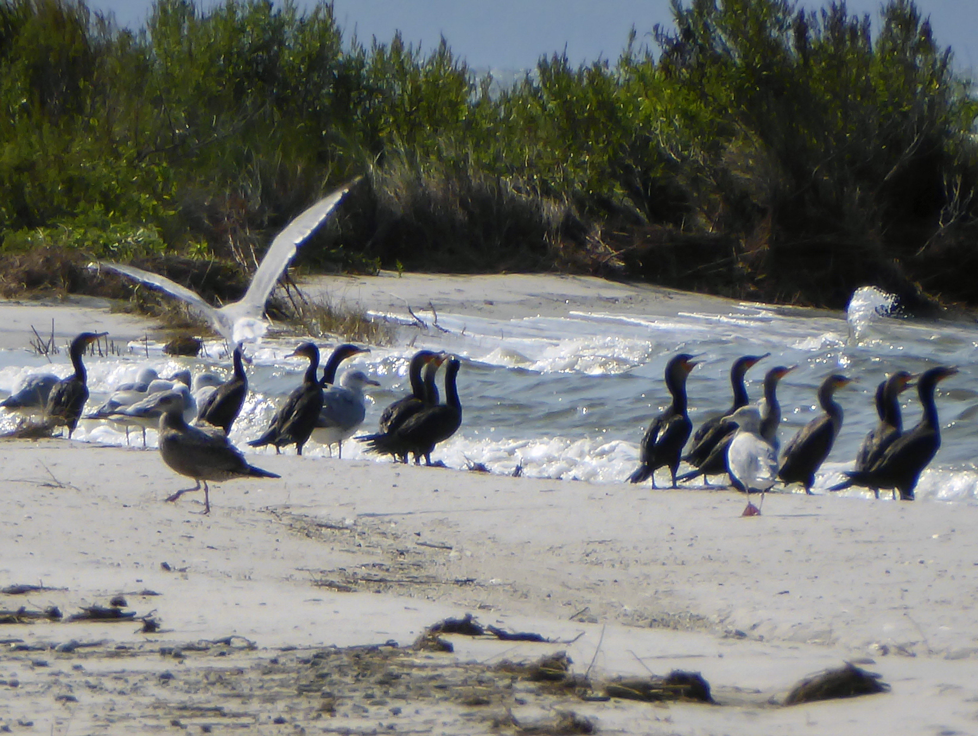 A Trip to Saxis – Kayaking Delmarva