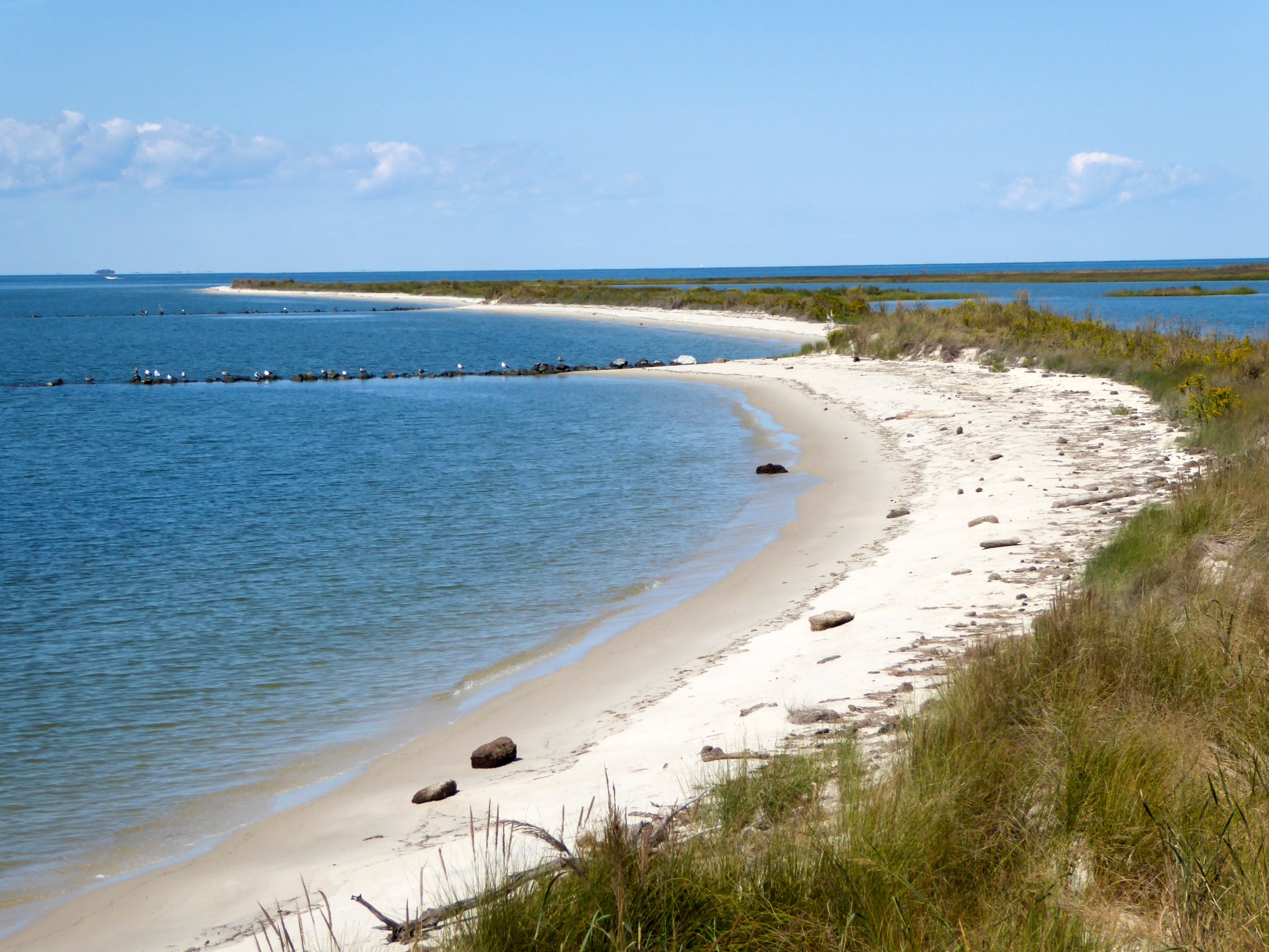 Janes Island Tour – Kayaking Delmarva