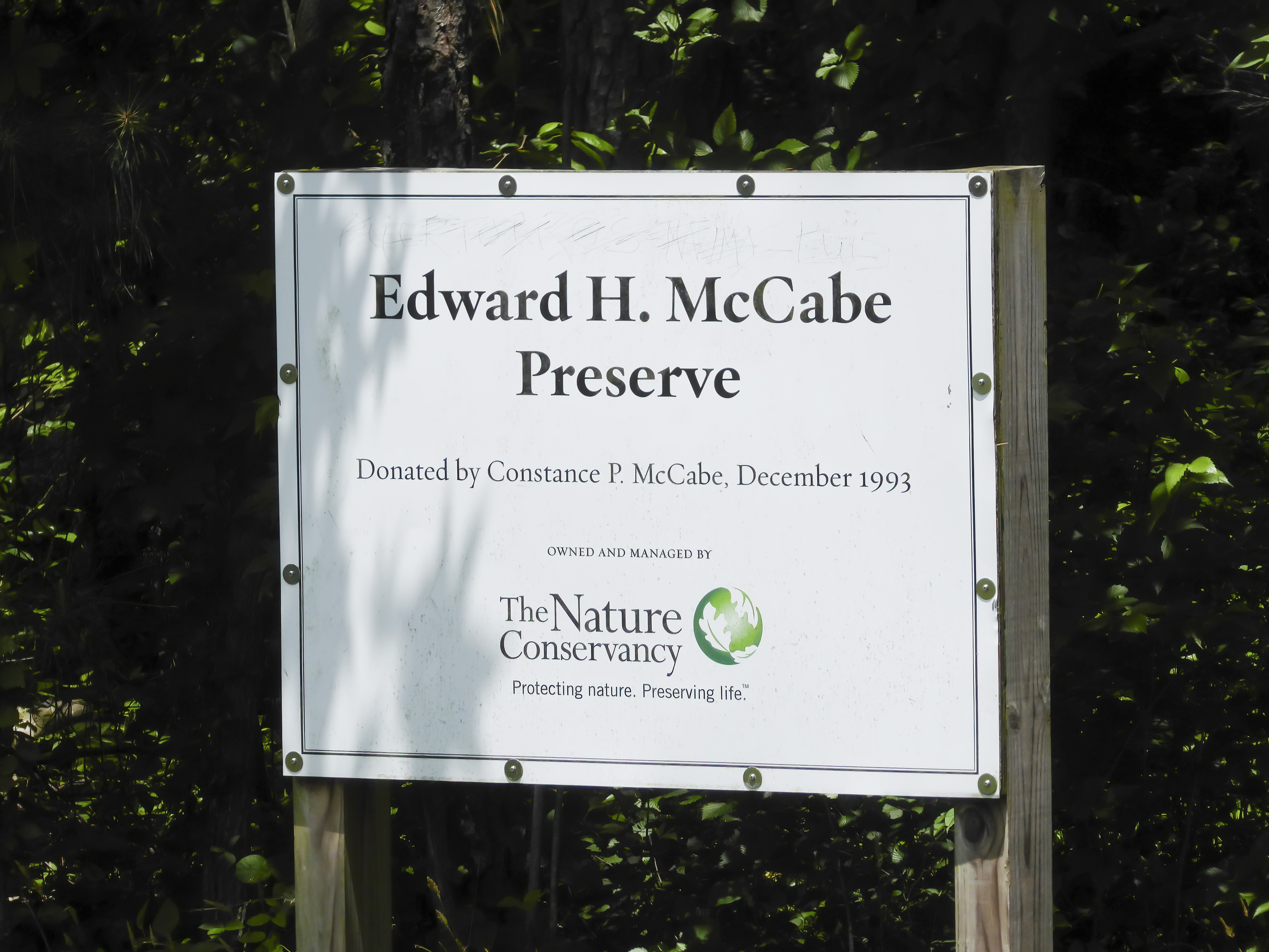 Return to Broadkill River – Kayaking Delmarva