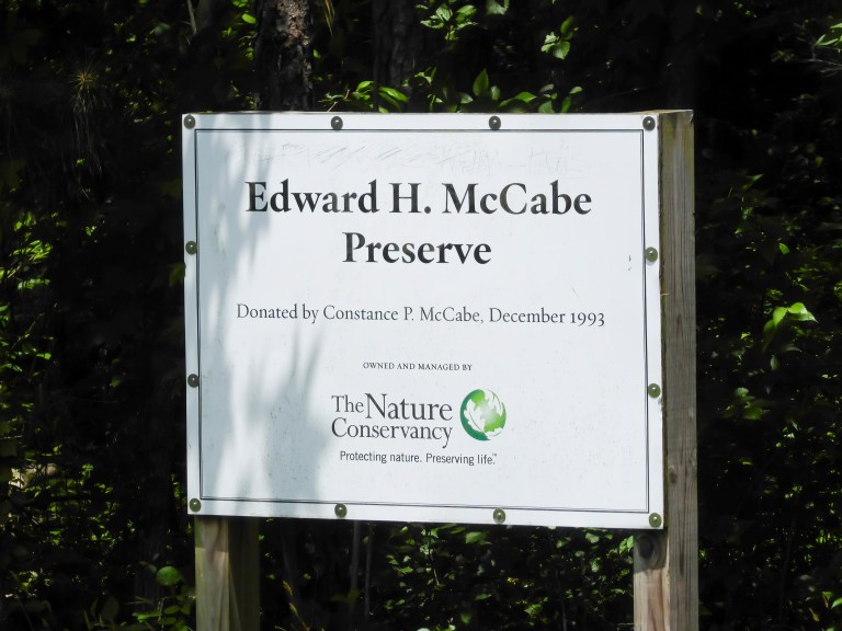 Return to Broadkill River – Kayaking Delmarva