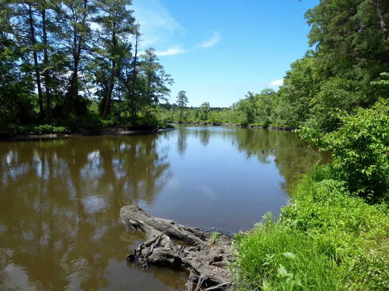 Return to Broadkill River – Kayaking Delmarva