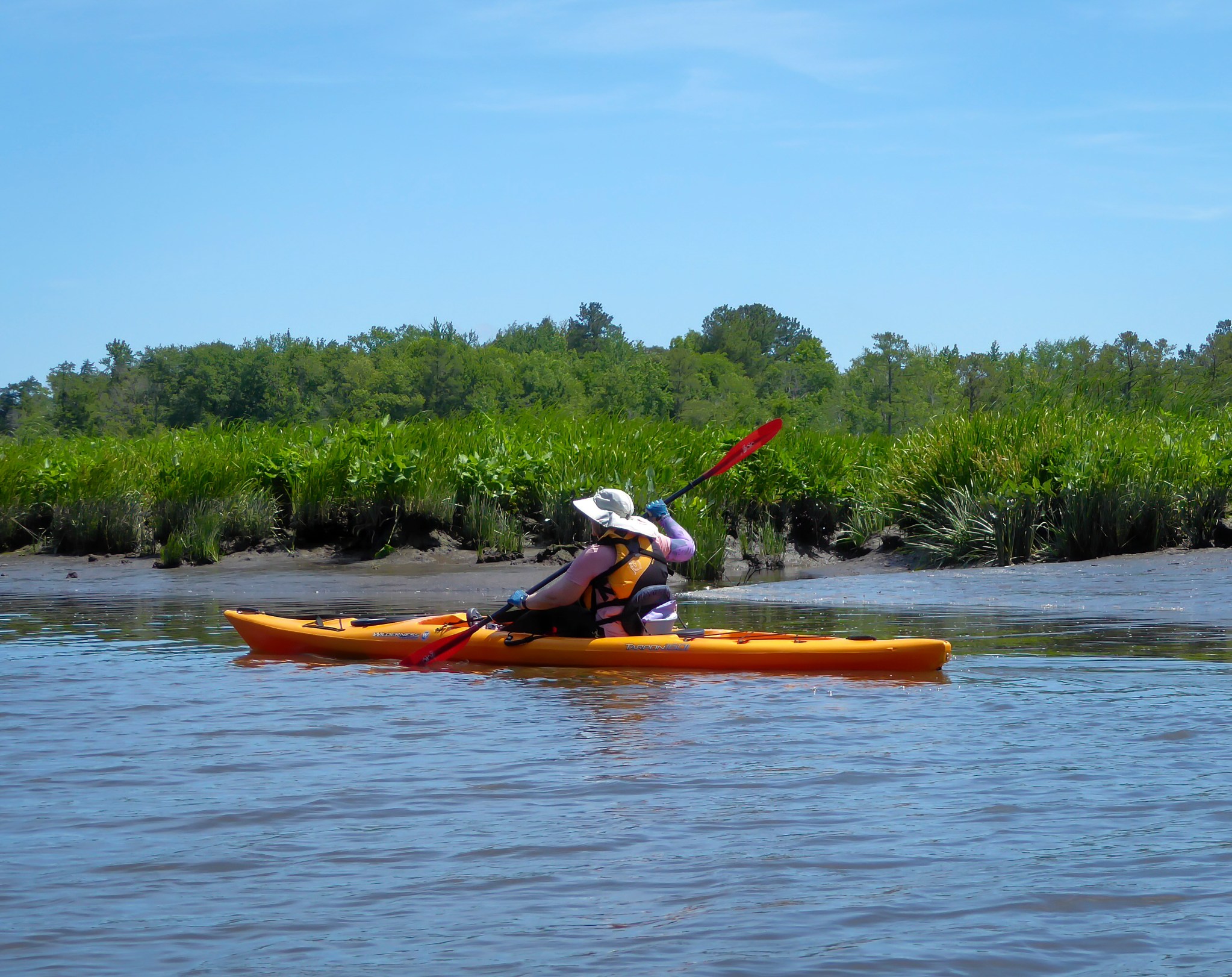 Return to Broadkill River – Kayaking Delmarva