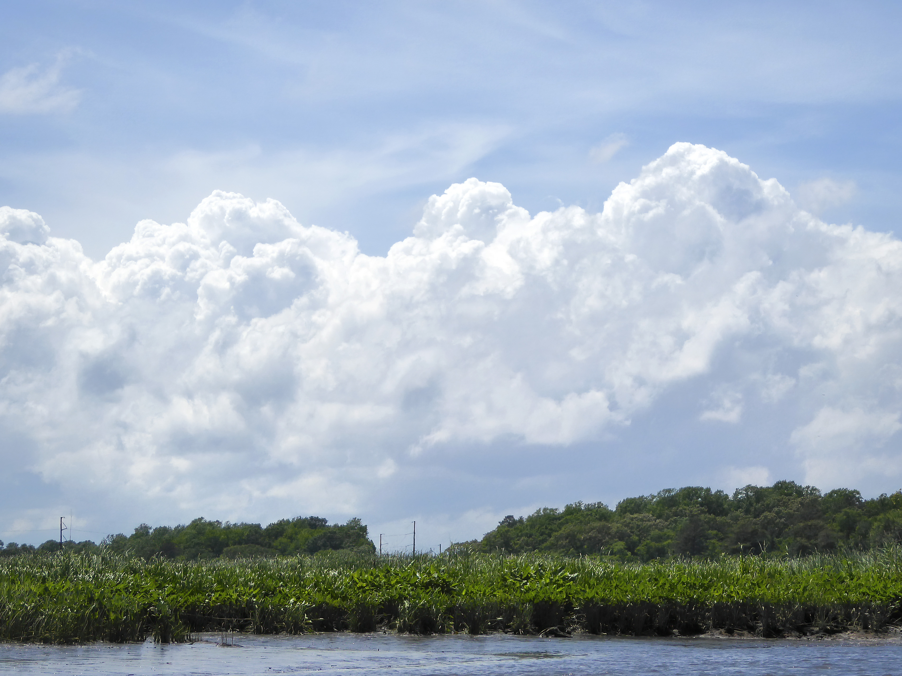 Return to Broadkill River – Kayaking Delmarva