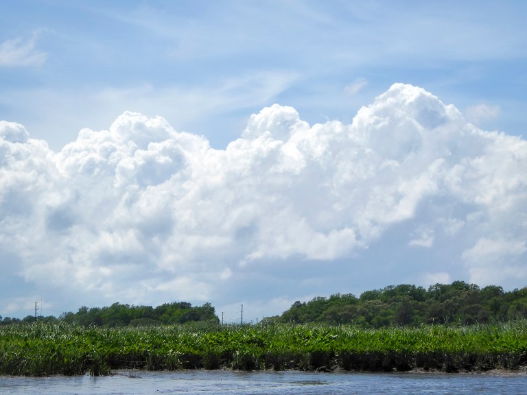 Return to Broadkill River – Kayaking Delmarva