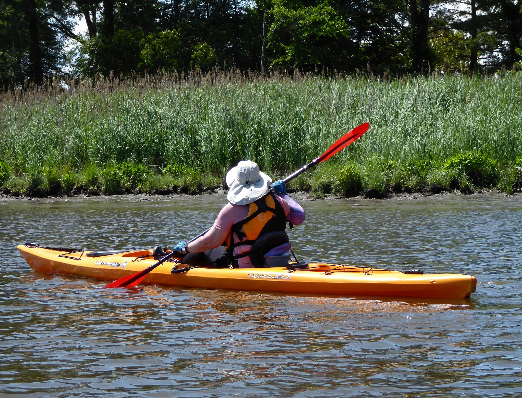 Return to Broadkill River – Kayaking Delmarva