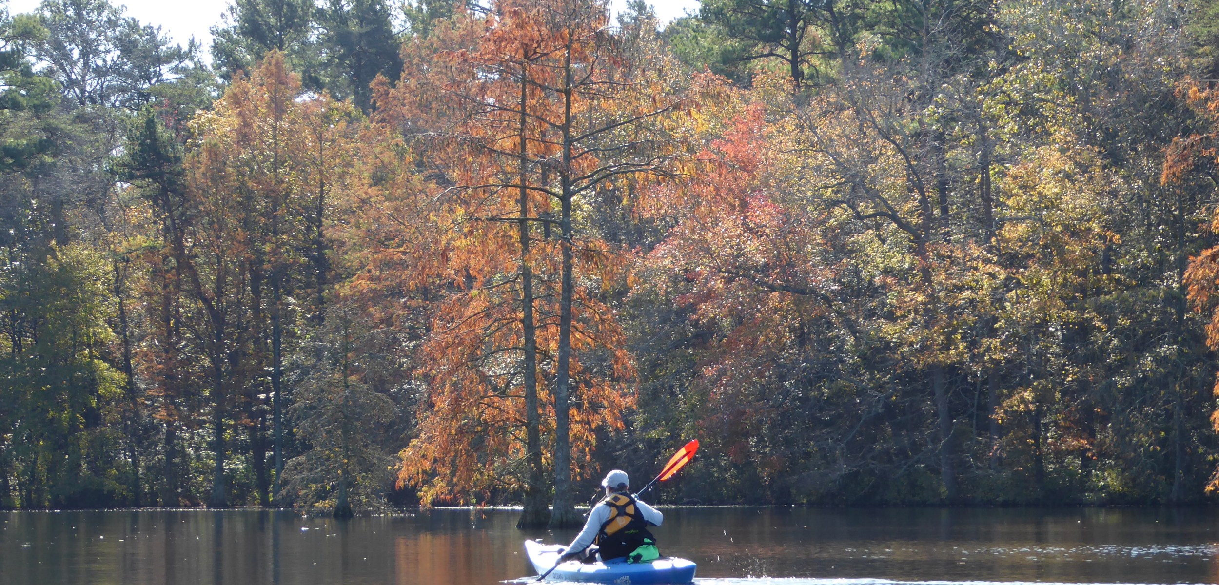 Kayaking Delmarva – Page 2 – Paddling the Eastern Shore and Beyond