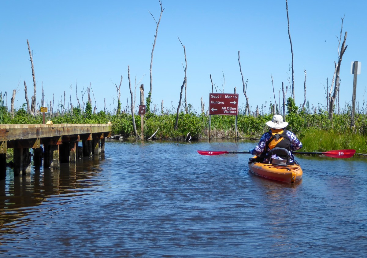Prime Hook – Totally Transformed – Kayaking Delmarva