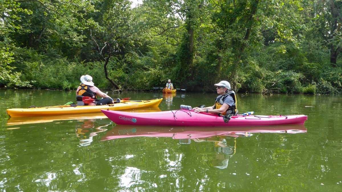 Moses and the Monster on Broad Creek – Kayaking Delmarva